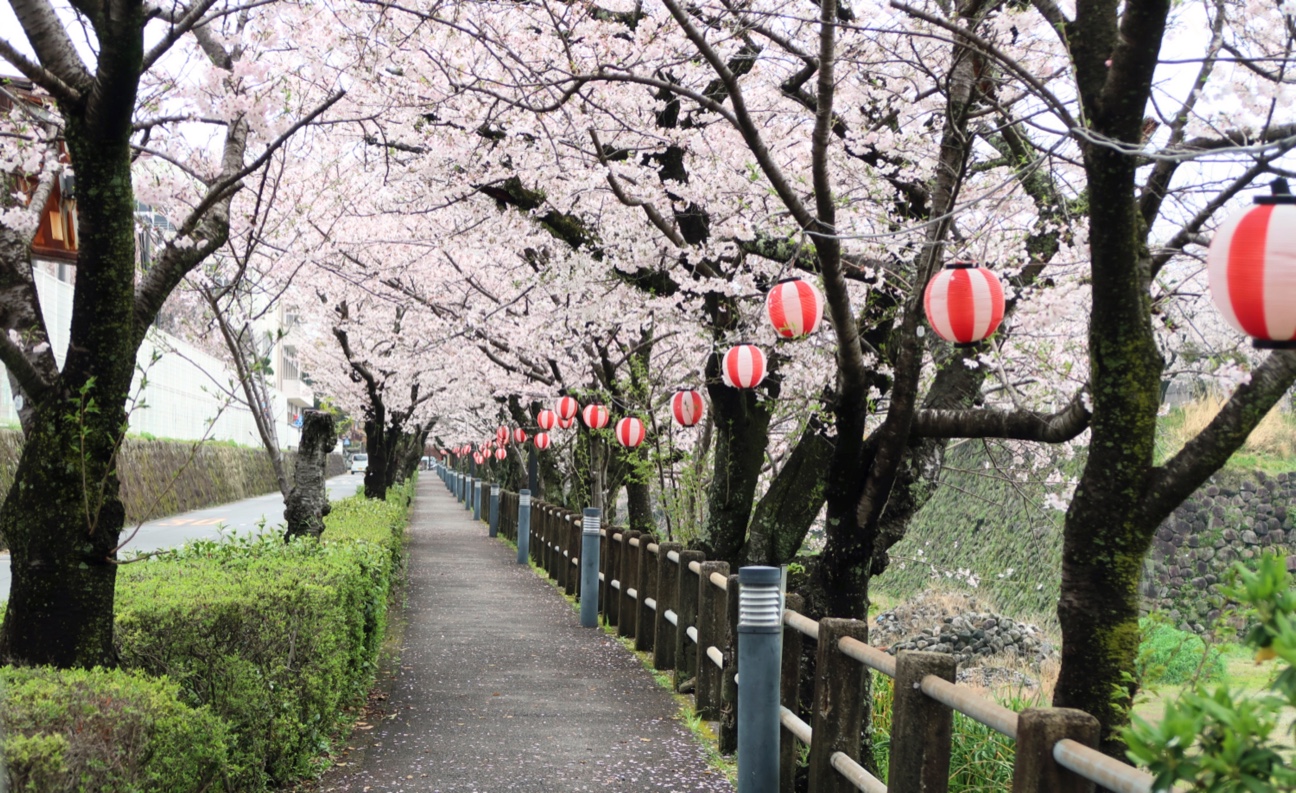 Highlights for Nagasaki, Japan Study Abroad Program | USAC